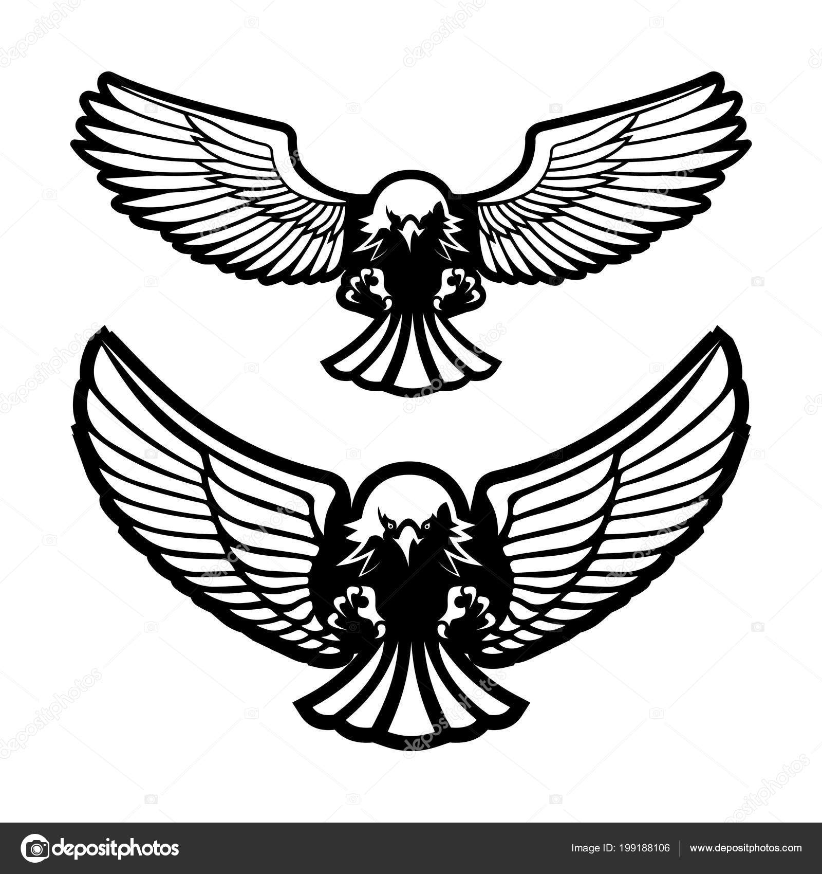 Bird Prey Attacks Vector Illustration Stock Vector Image by ©matc ...