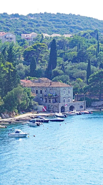 Stari ras Stock Photos, Royalty Free Stari ras Images | Depositphotos