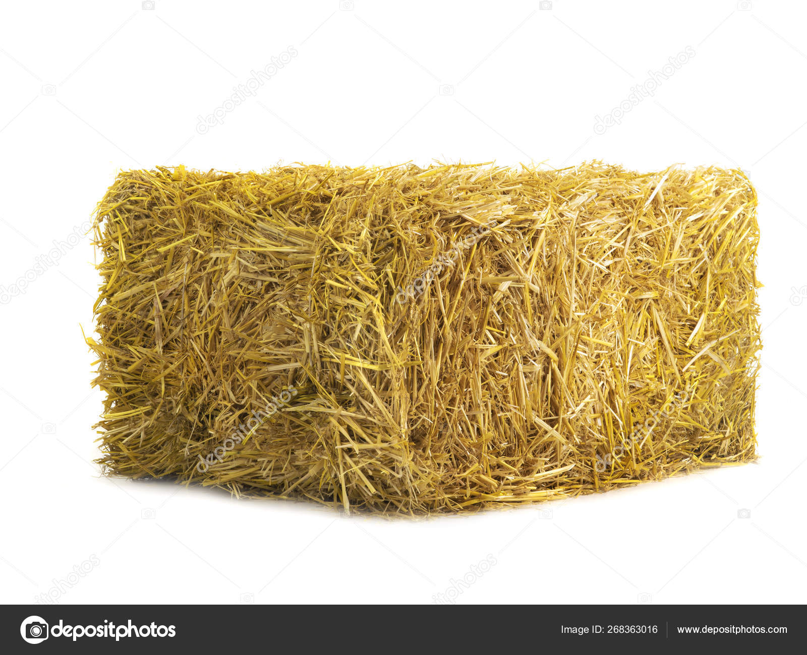 Barley Hay