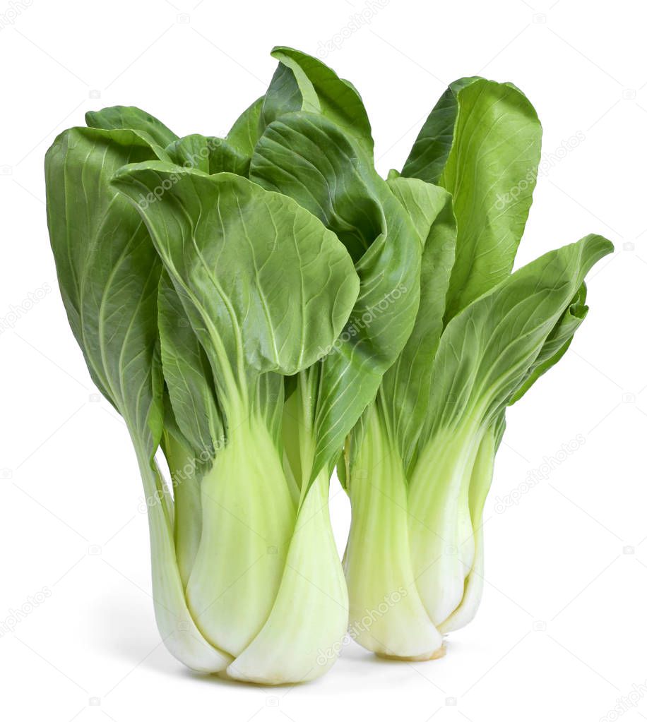 Col fresca de pak choi o col china, aislada sobre fondo blanco ...