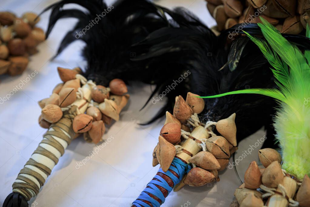 Cascabeles tradicionales de vaina de semillas ceremoniales indígenas ...