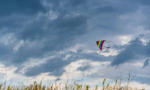 Kites In The Evening Sky