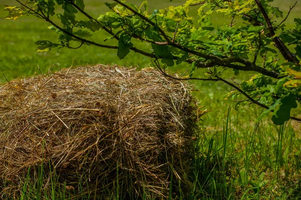 ᐈ Hay rick stock pictures, Royalty Free hay rick photos | download on ...