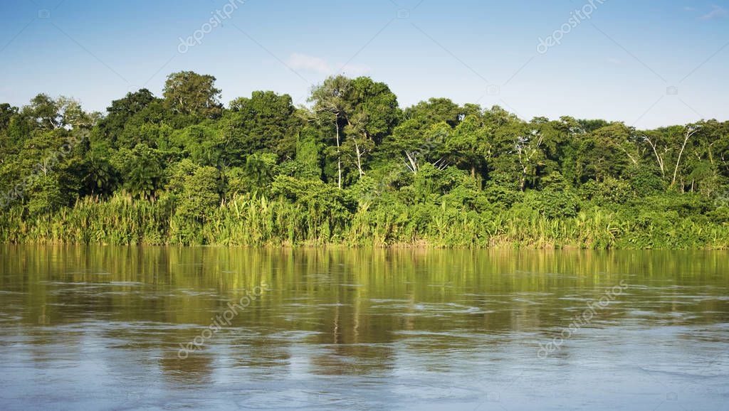 Río Amazonas y paisaje de selva tropical. Perú. América del Sur. 2023