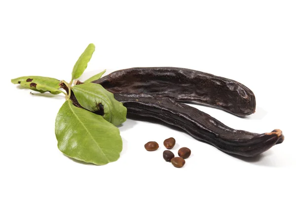 Arbol algarrobo fotos de stock, imágenes de Arbol algarrobo sin ...