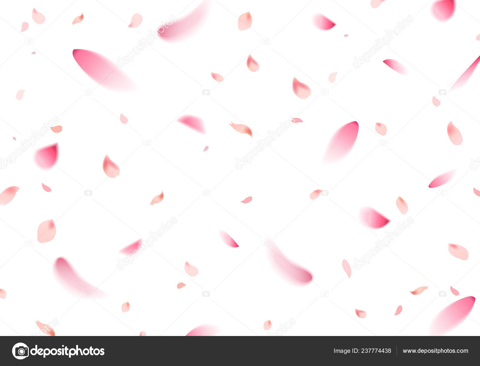Cherry Blossom Petal Vector