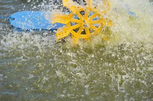 Atividades de wave water Stock Photos, Royalty Free Atividades de wave ...