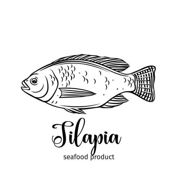 ᐈ Tilapia fish and label stock vectors, Royalty Free tilapia pictures ...