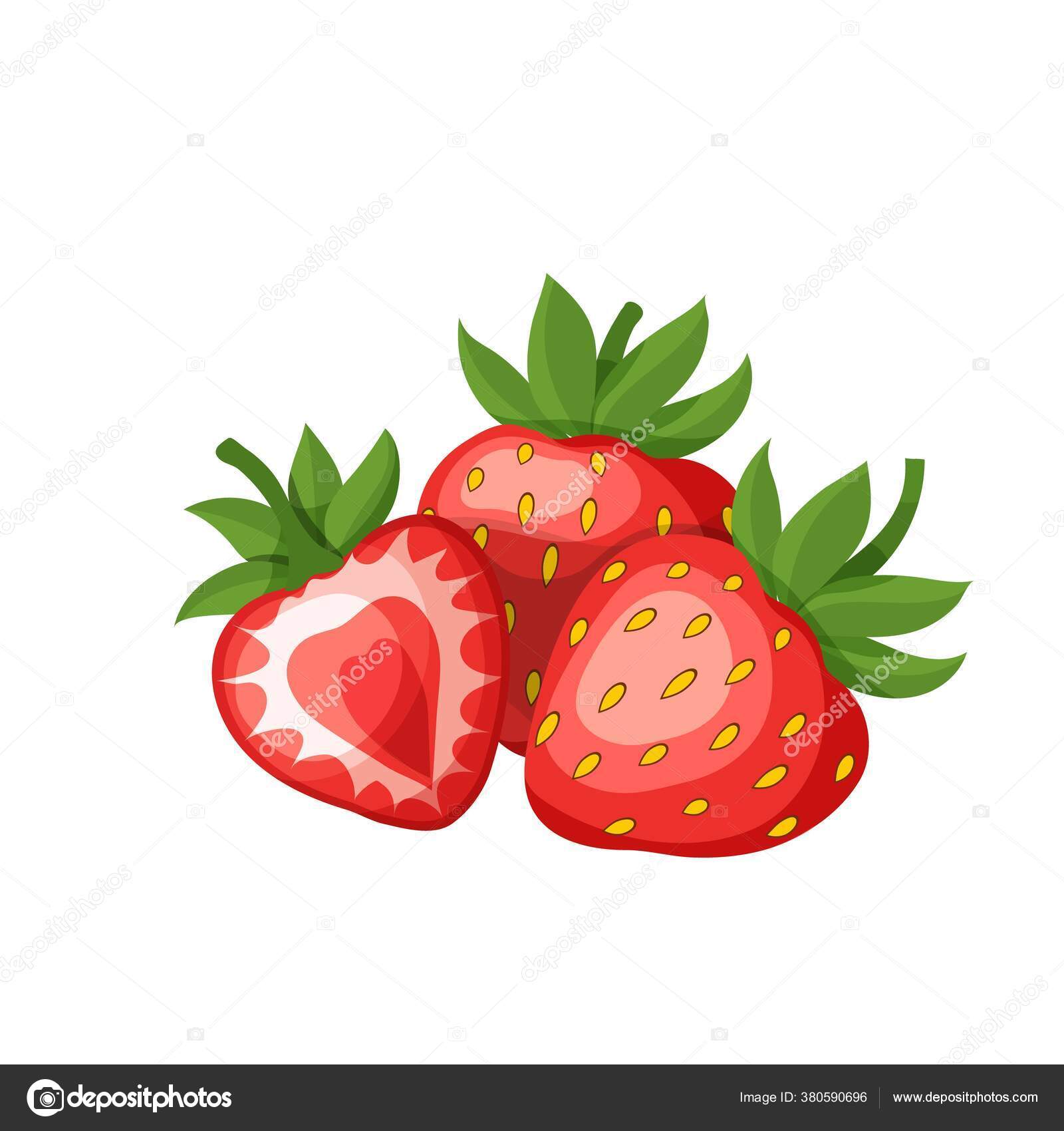 Strawberry Fruit Vector