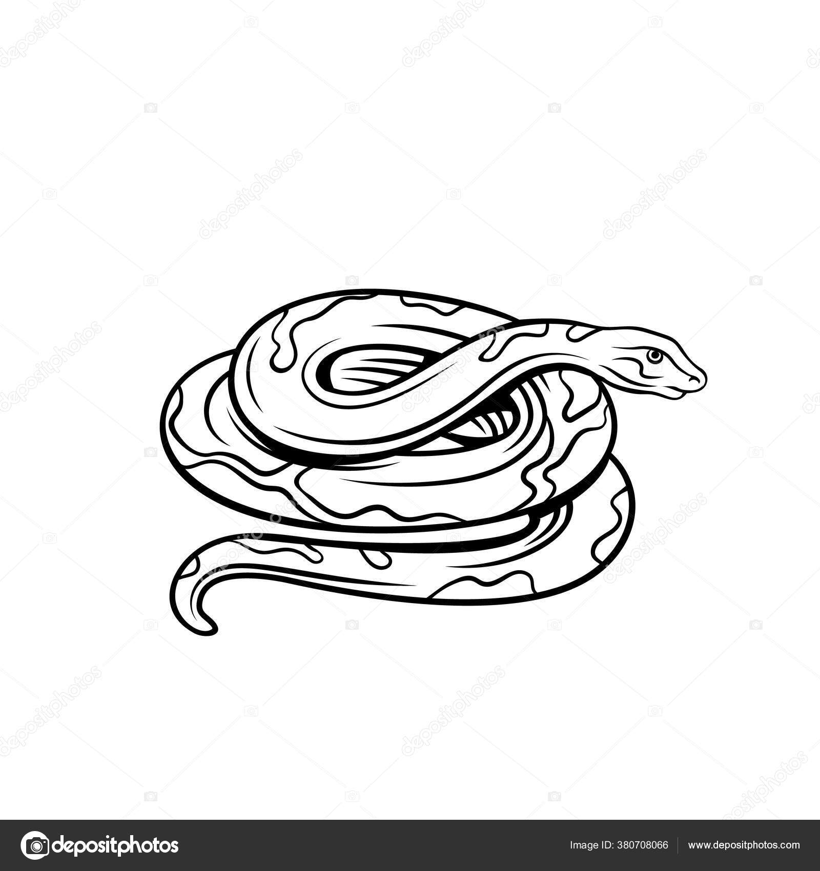 Snake Outline