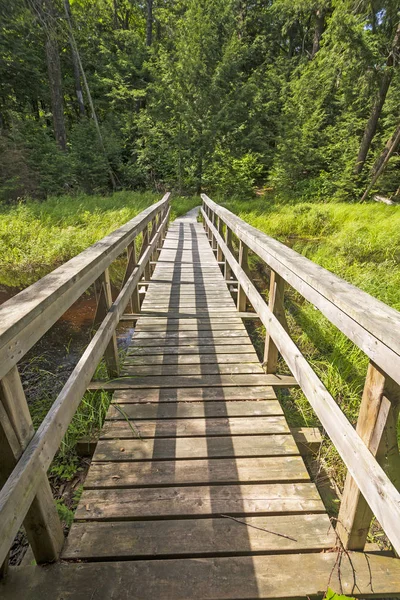 Wooden Footbridge on a Wilderness Path on the Lake of the Woods Trail ...