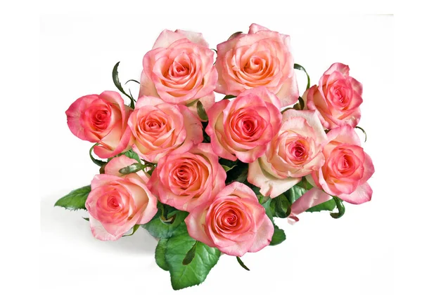 Magnifique bouquet de roses roses isolé sur fond blanc images libres de ...