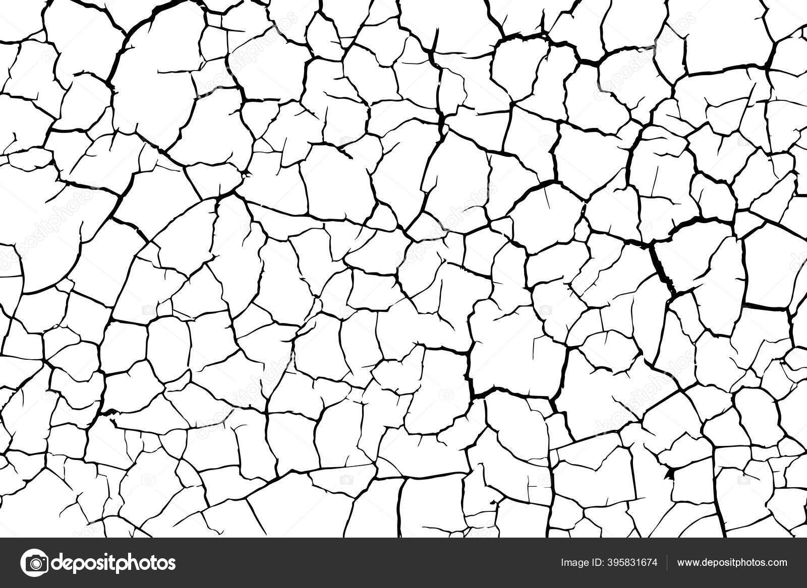 Grunge Black White Cracked Earth Pattern Background Vector Illustration ...