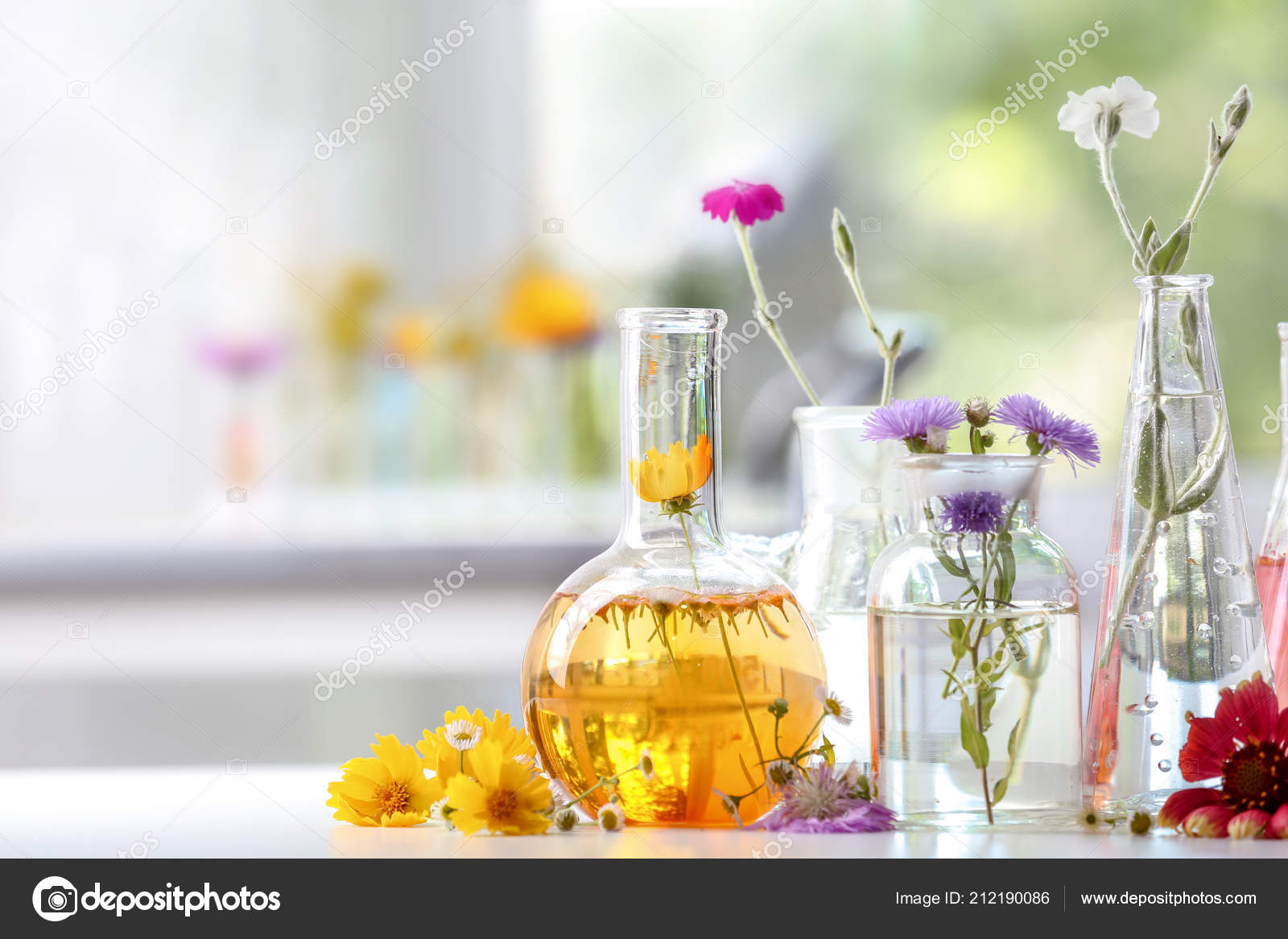 Flasks Plants Table Laboratory Stock Photo by ©serezniy 212190086