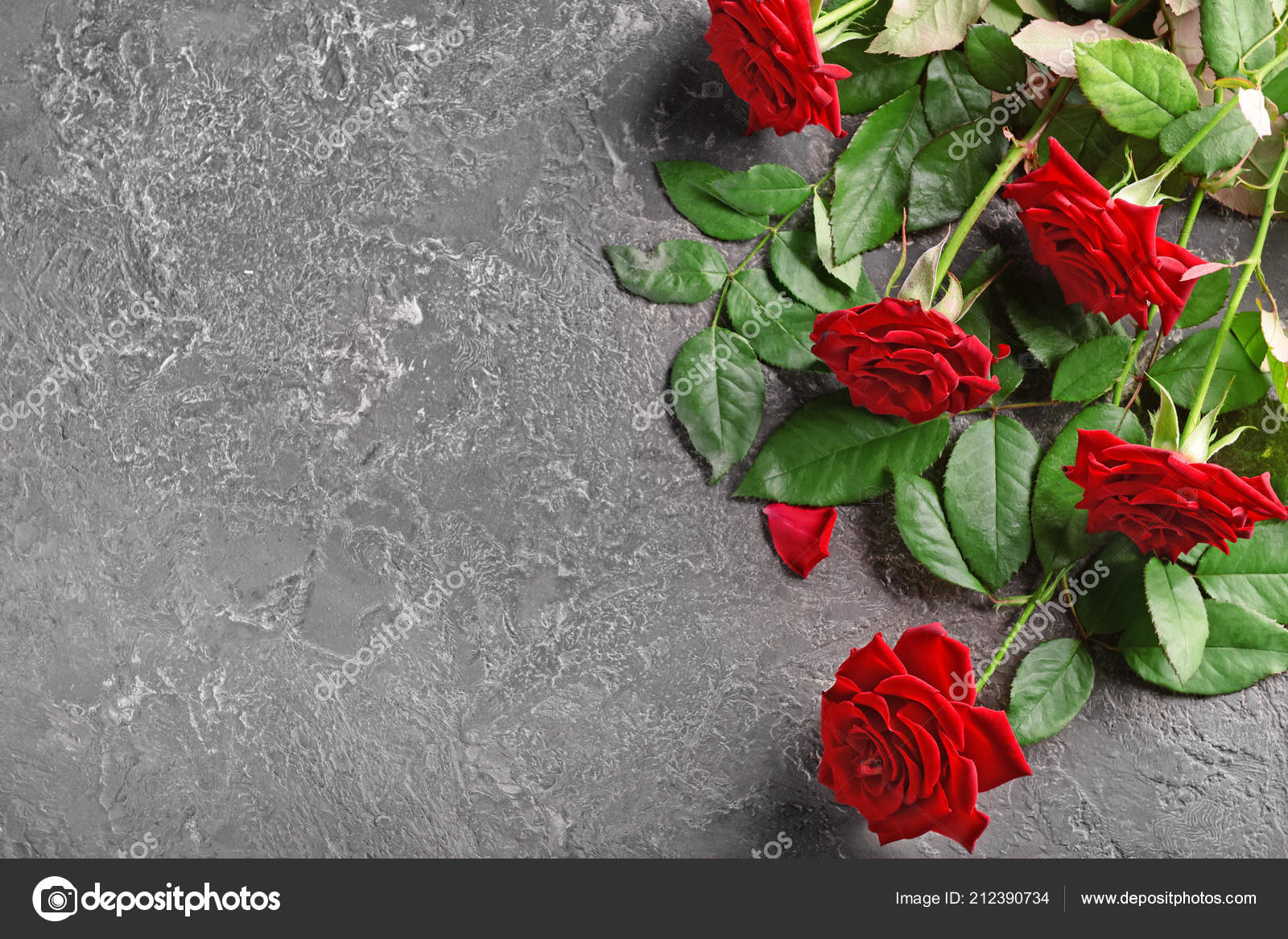 Beautiful Red Roses Grey Background Stock Photo by ©serezniy 212390734