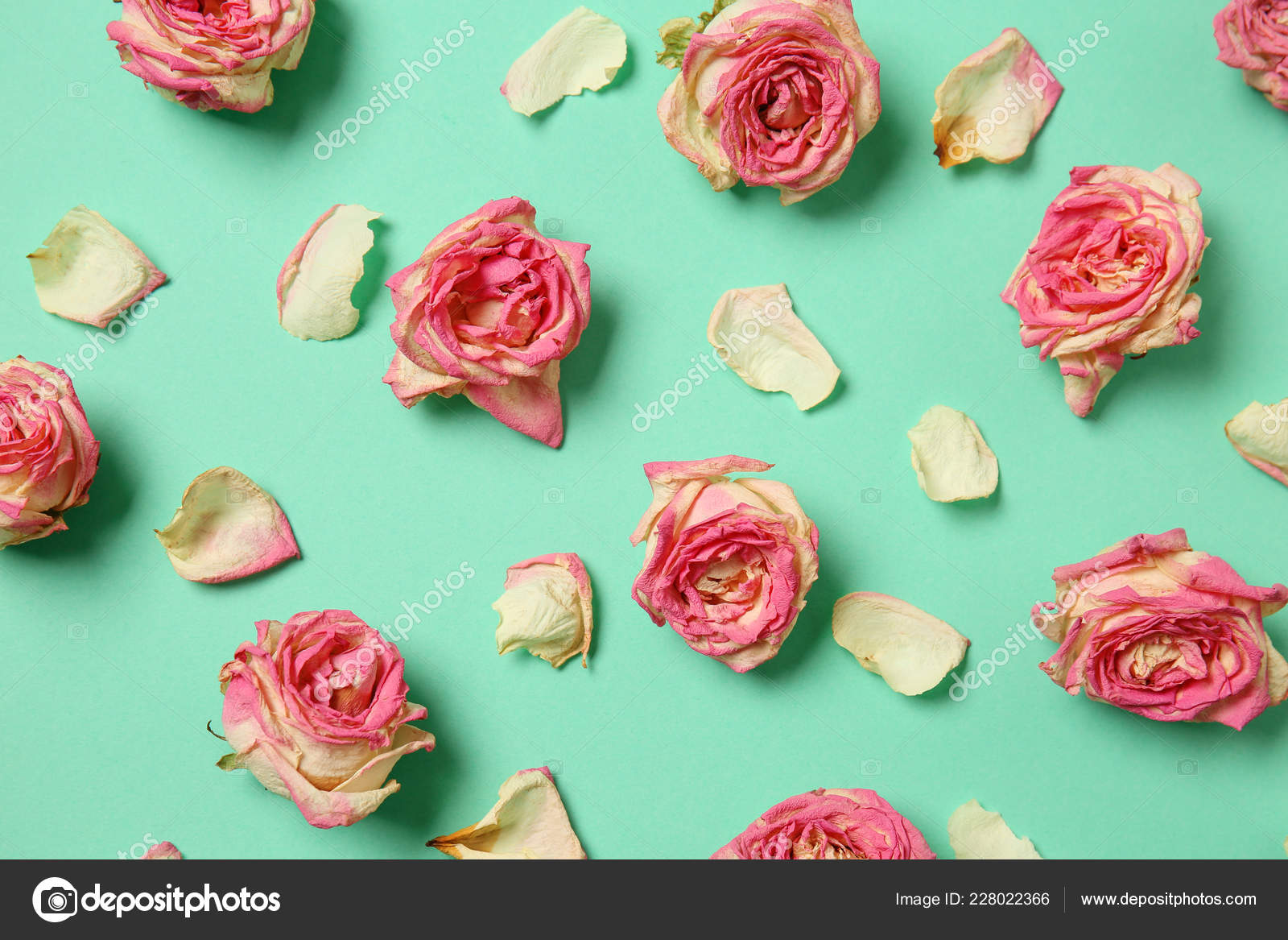 Beautiful Dry Roses Color Background Stock Photo by ©serezniy 228022366