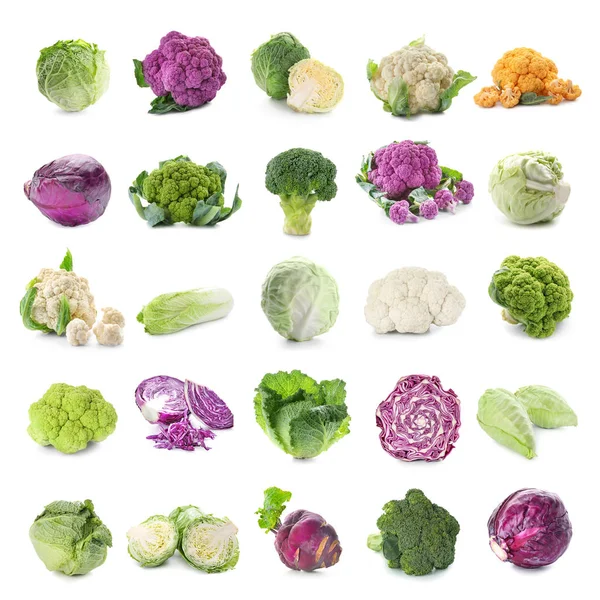 Ensemble de différentes sortes de chou image libre de droit par Alekcey ...