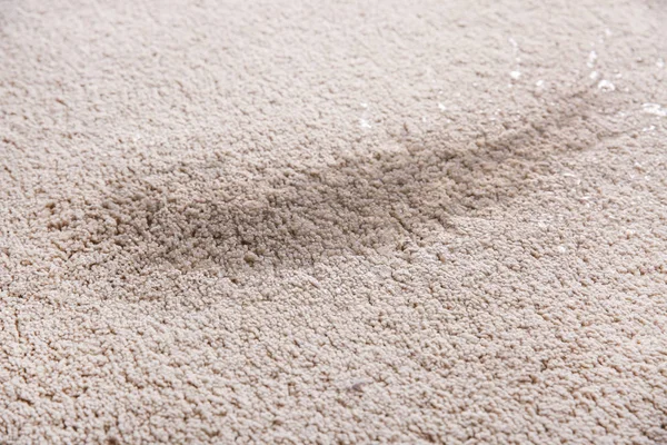 Wet carpet Stock Photos, Royalty Free Wet carpet Images | Depositphotos