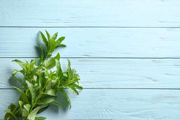 Mint green color Images - Search Images on Everypixel