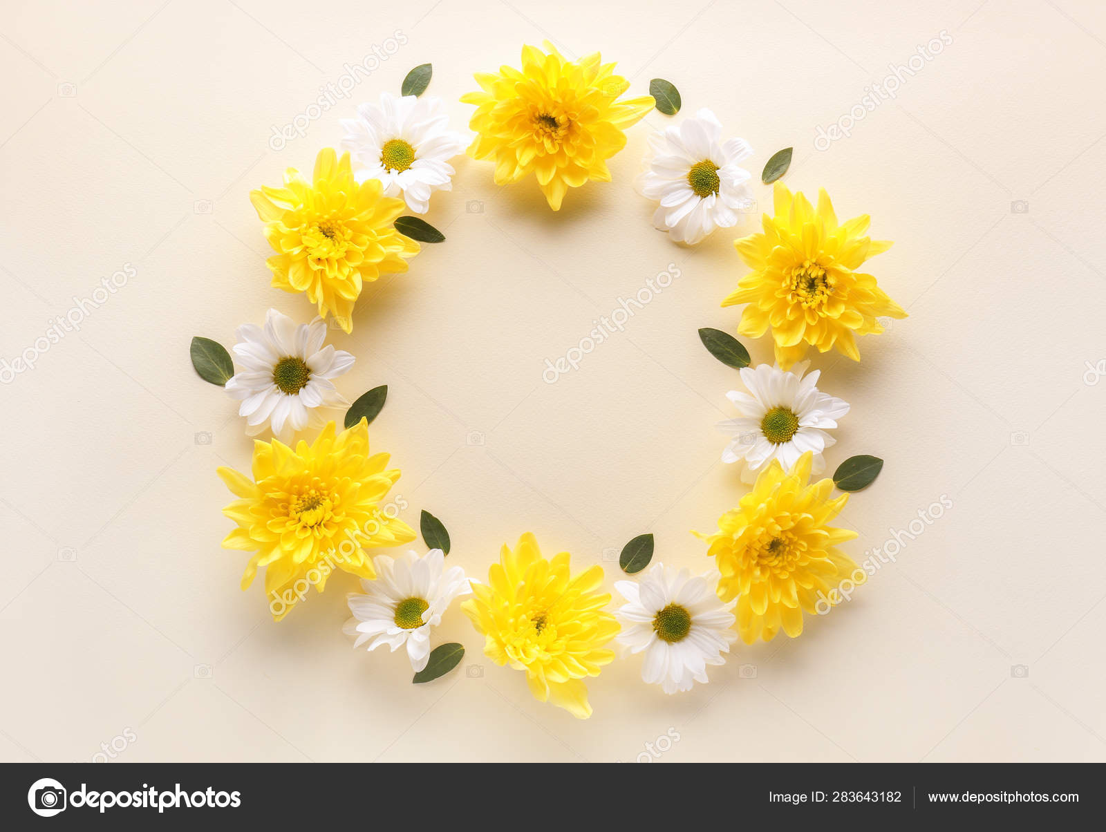 Beautiful flower composition on color background Stock Photo by ...