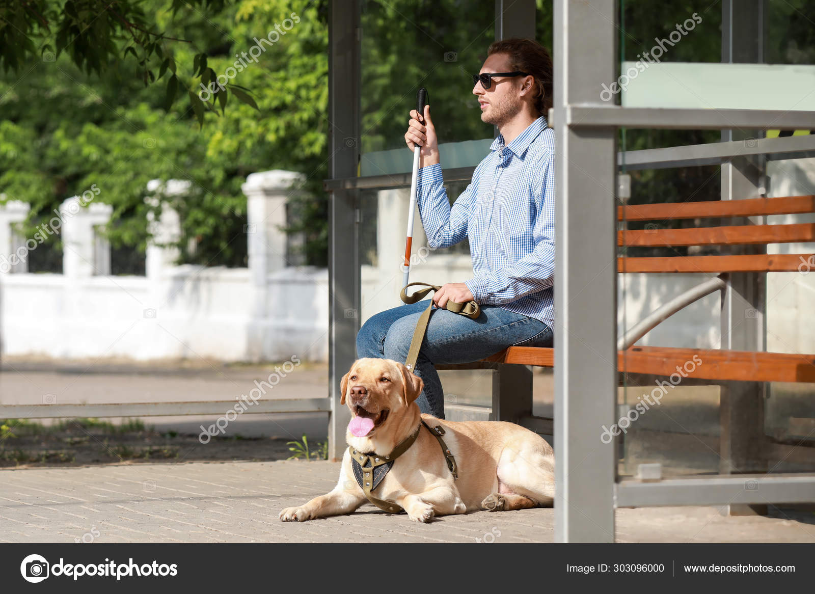 How Long Is The Wait For A Guide Dog