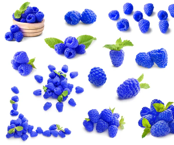 Blue raspberry Stock Photos, Royalty Free Blue raspberry Images ...