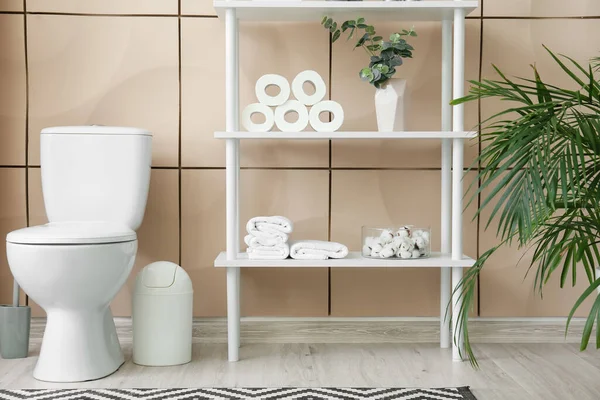 Stylish Interior Modern Restroom Ceramic Toilet Bowl — Stock Photo ...