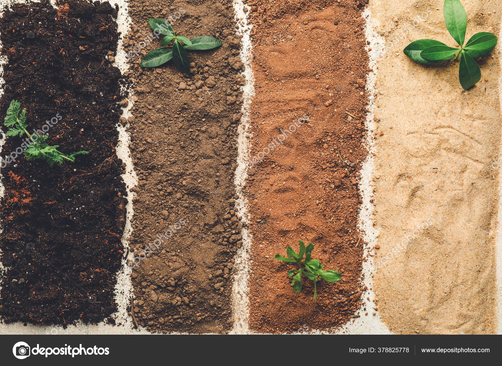 Différents Types Sols Comme Toile Fond image libre de droit par ...