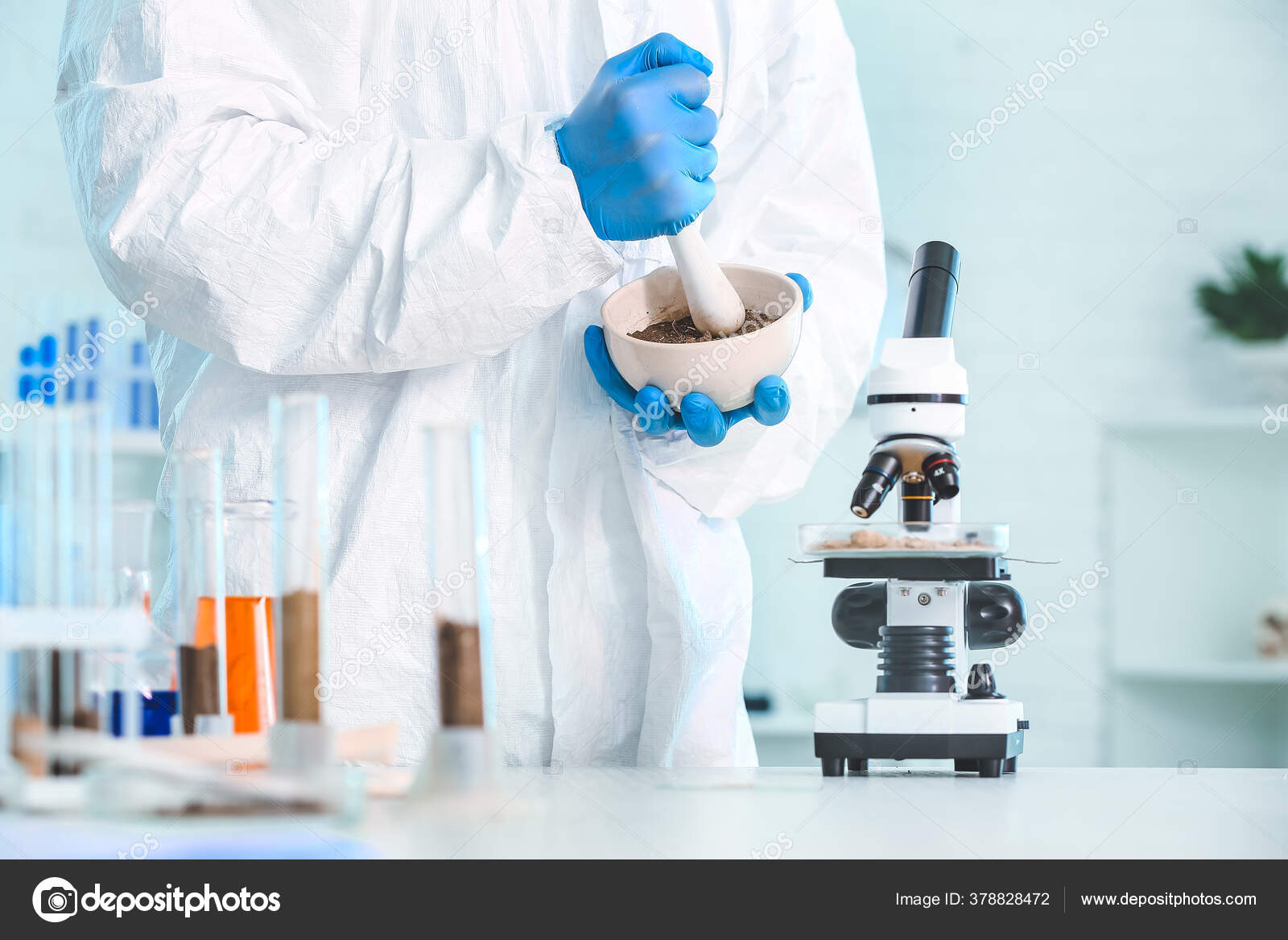 Scientist Studying Samples Soil Laboratory — Stock Photo © serezniy ...