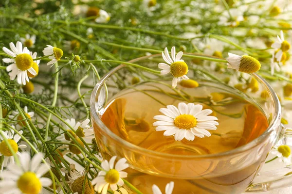 Infusion de camomille Stock Photos, Royalty Free Infusion de camomille ...