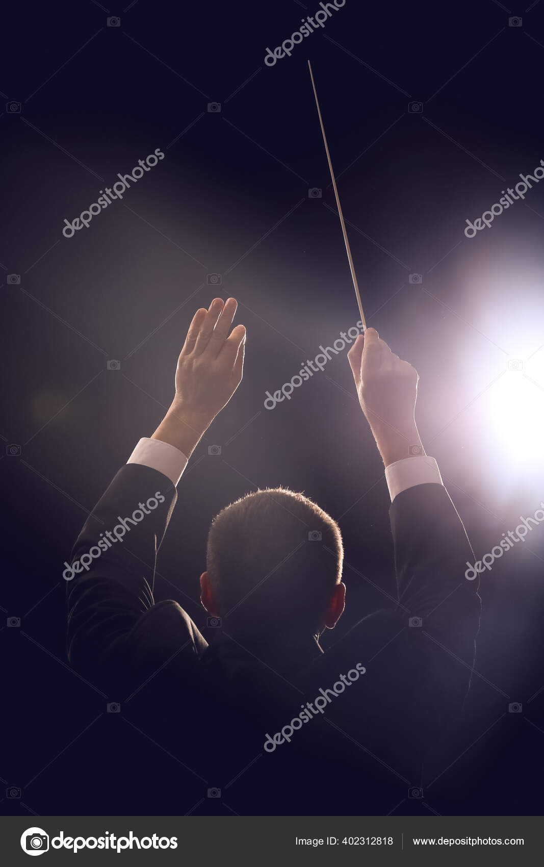 Male Conductor Dark Background Back View — Stock Photo © serezniy ...