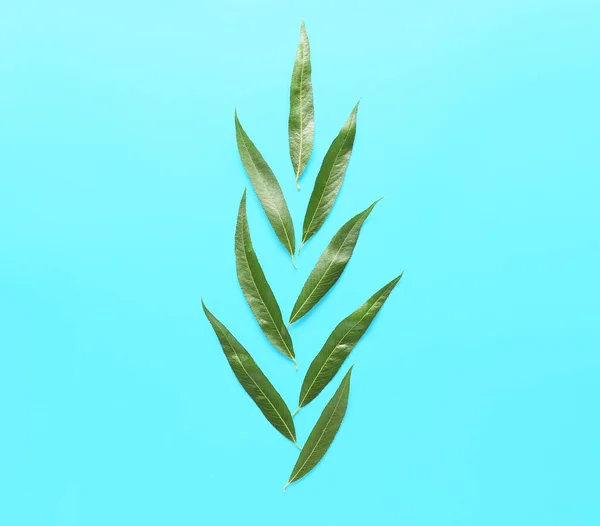 Green Osier Leaves Color Background Stock Photo by ©serezniy 402094804