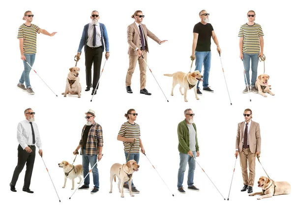Collage Blind People White Background Stock Photo by ©serezniy 410377900