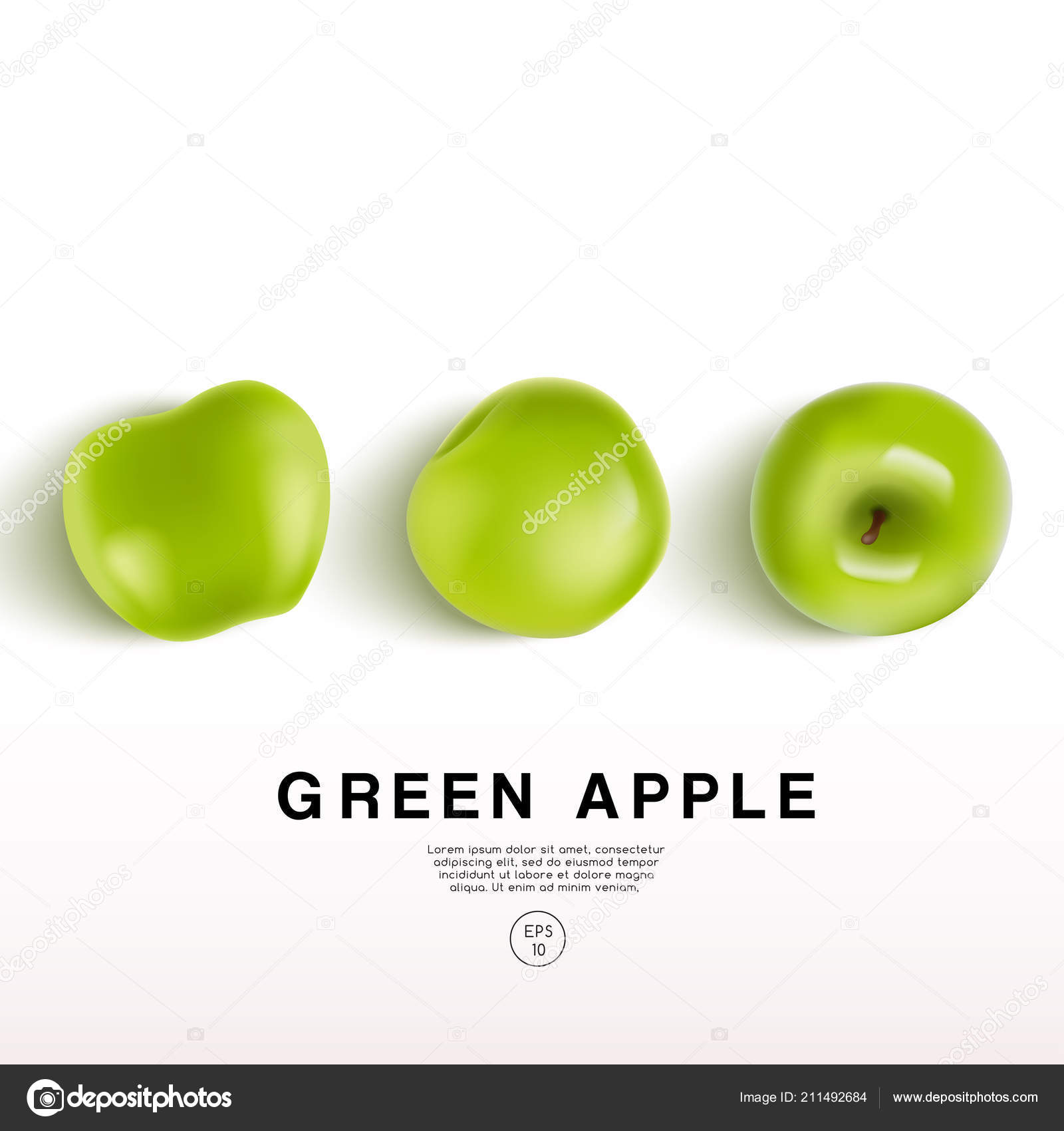 Realistic Green Apple White Background Vector Illustration Stock Vector ...