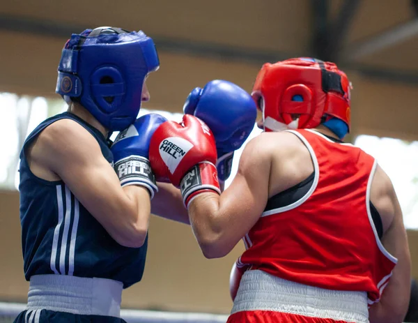 Boxing diploma Stock Photos, Royalty Free Boxing diploma Images ...