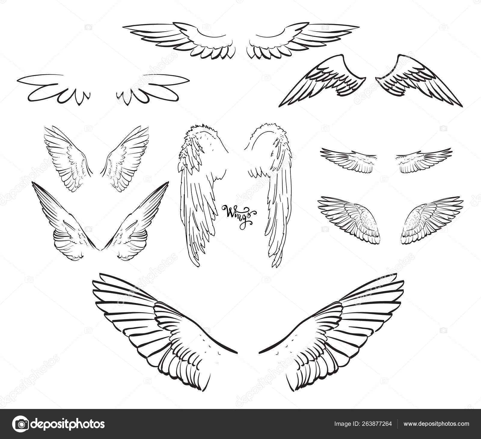 Angel wings texture pattern vector drawing Stock Vector Image by ...
