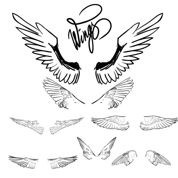 Angel wings texture pattern vector drawing Stock Vector Image by ...
