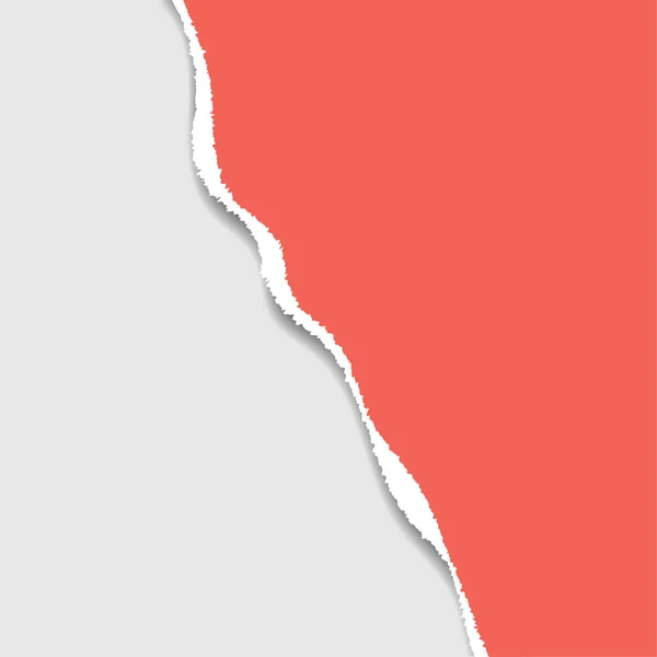 Ripped paper. Vector of ripped paper. the paper was ripped background ...