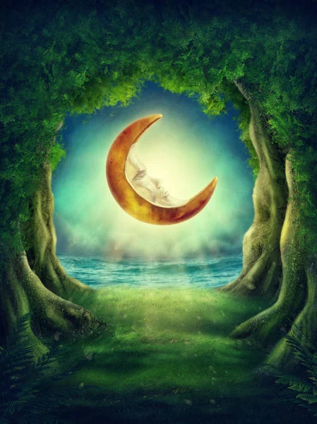 Enchanted dark forest — Stock Photo © Elena Schweitzer #72274943