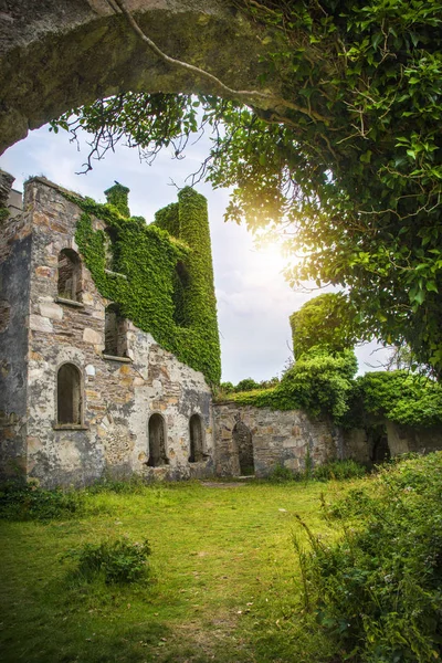 Ruined castle Images - Search Images on Everypixel