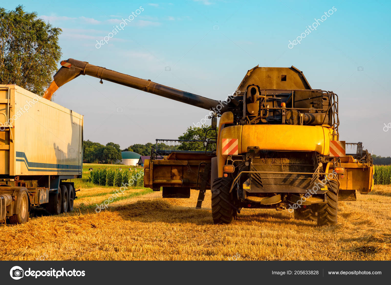 Big Combine Harvester Threshing Sunny Day — Stock Photo © dar19.30 ...