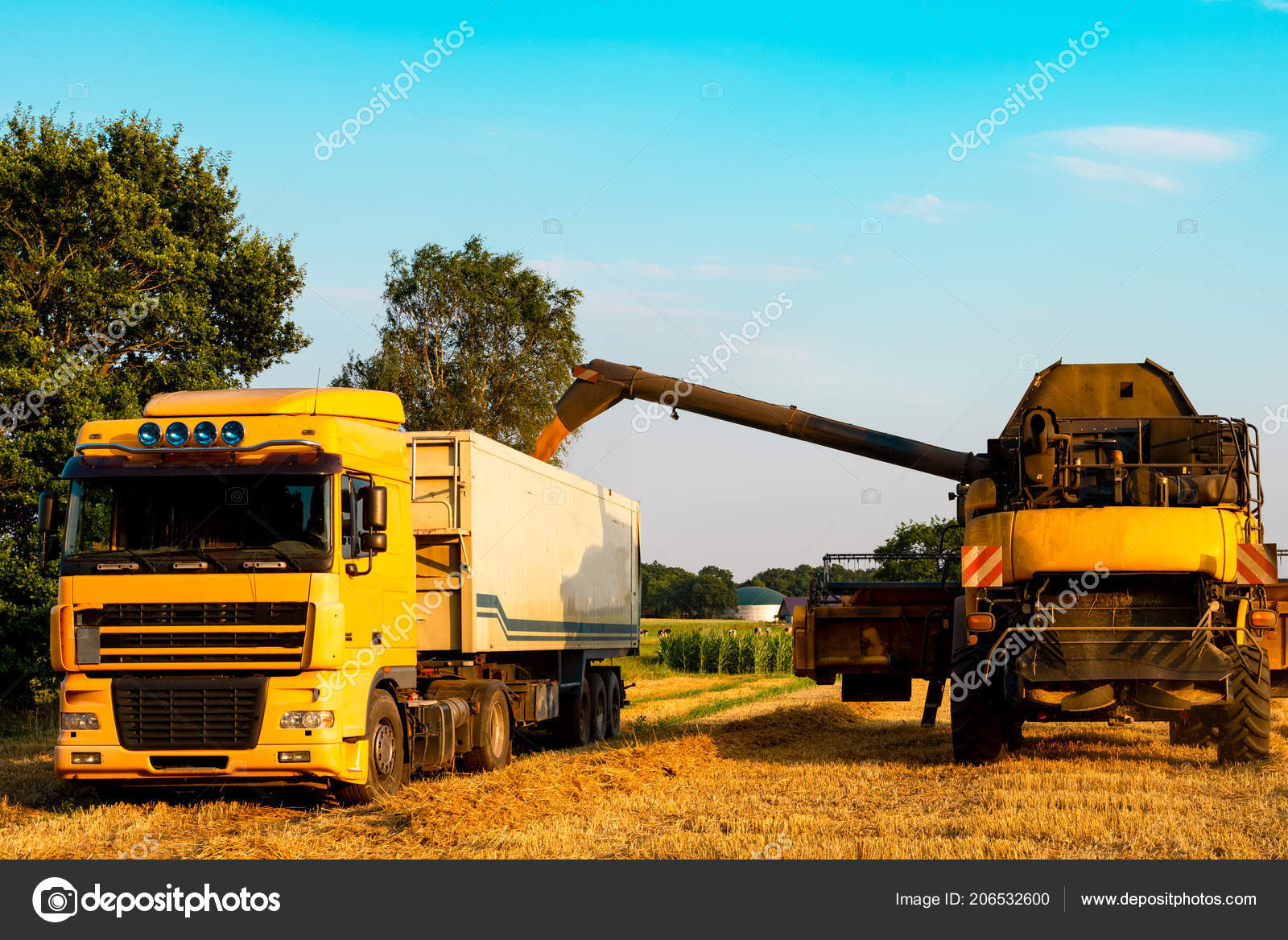 Big Combine Harvester Threshing Sunset — Stock Photo © dar19.30 #206532600