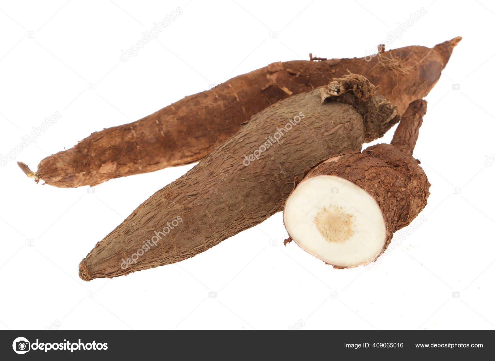 Tapioca Root