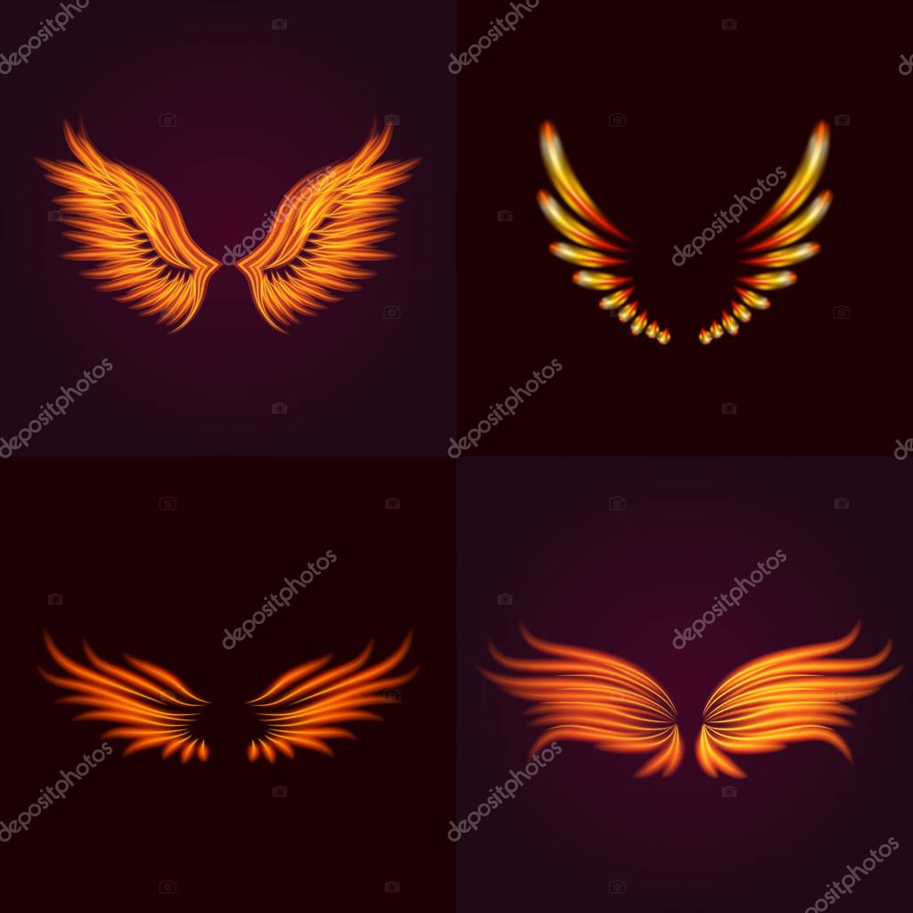 Pájaro fuego alas vector fantasía pluma ardiente mosca mística ...