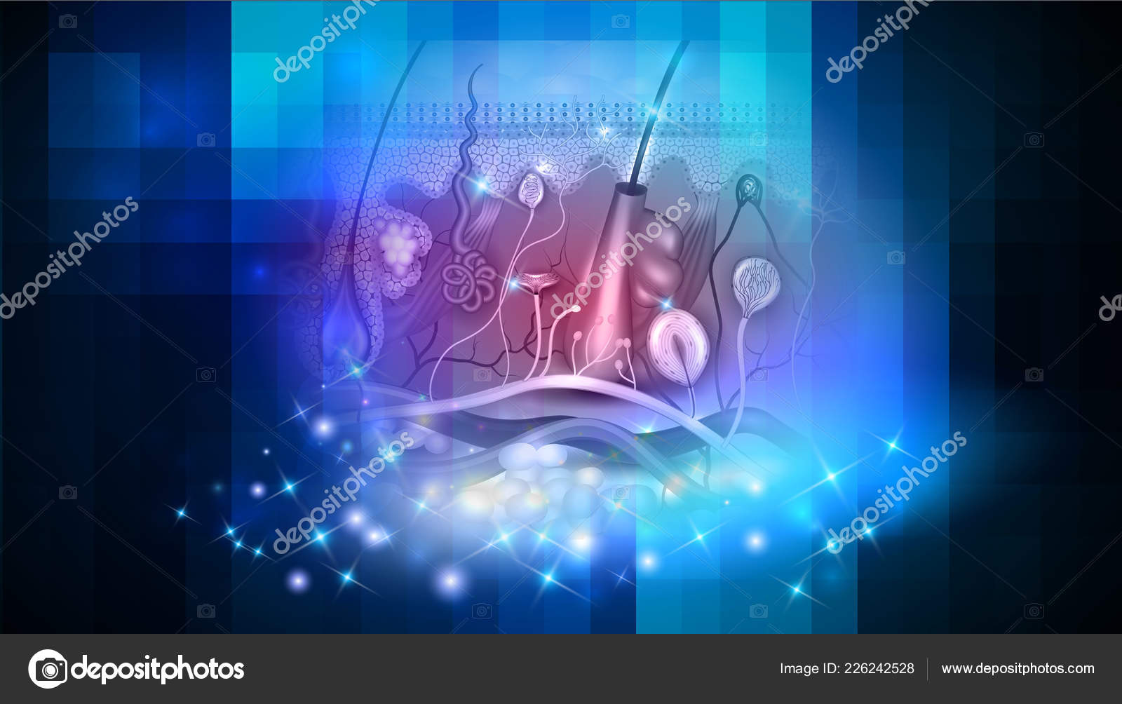 Skin Anatomy Detailed Structure Abstract Glowing Blue Background Design ...
