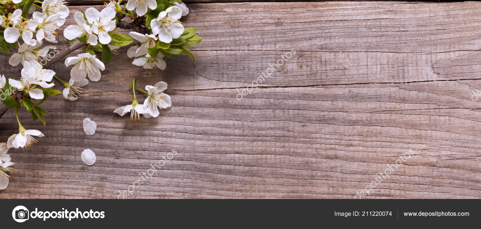White Spring Flowers Wooden Background — Stock Photo © chepko #211220074