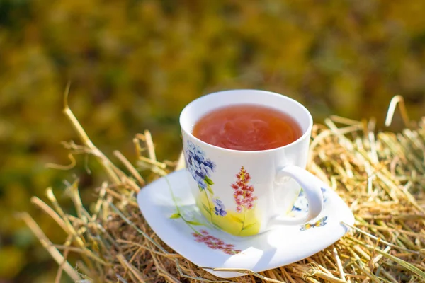 Tea in nature Images - Search Images on Everypixel
