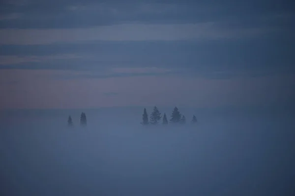 120 Midnight on the fields Stock Photos | Free & Royalty-free Midnight ...