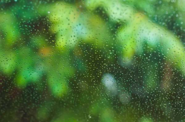 Fotos de Meio transparente, Imagens de Meio transparente sem royalties ...