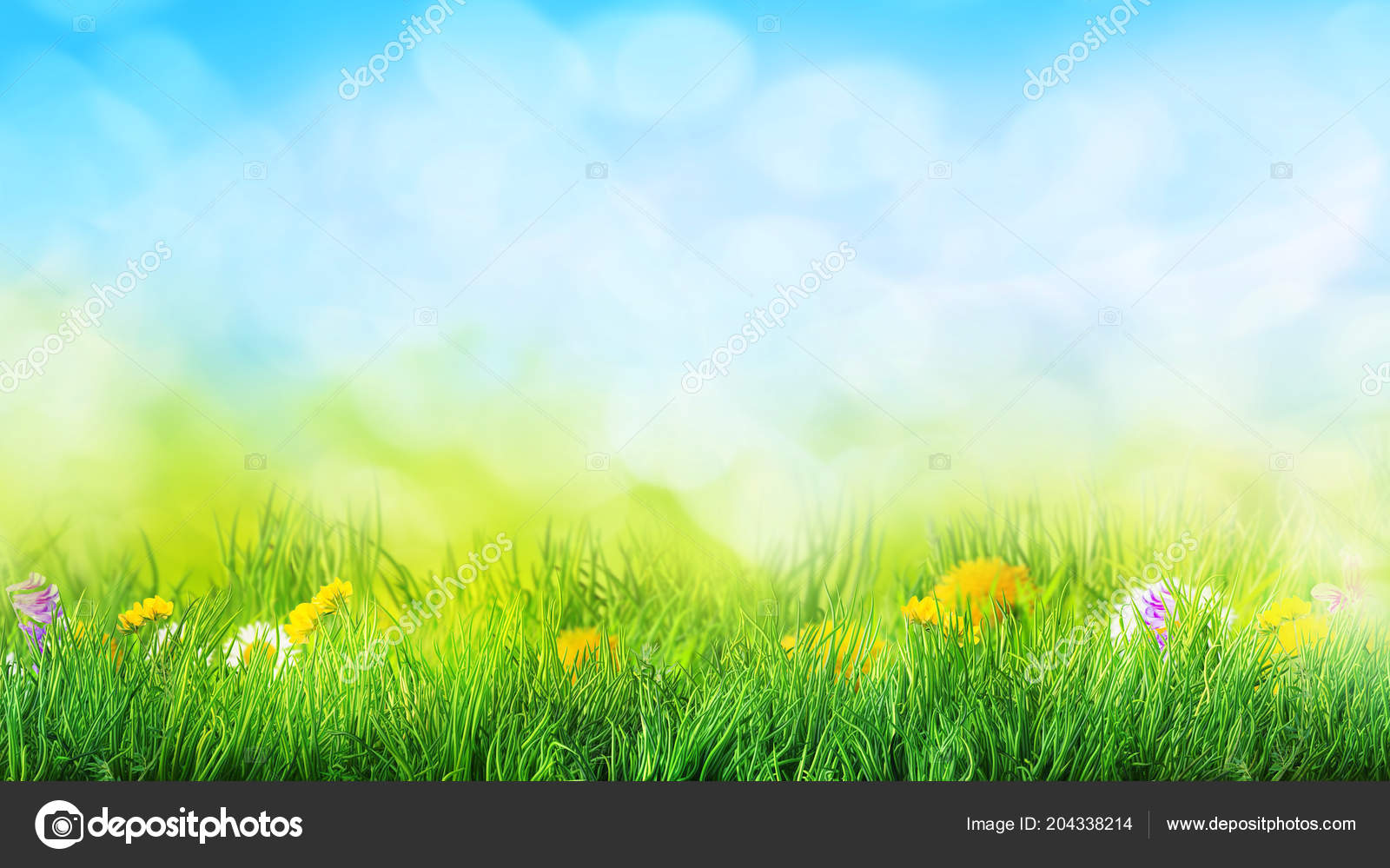 Grass Flowers Background Stock Photo by ©varuna 204338214